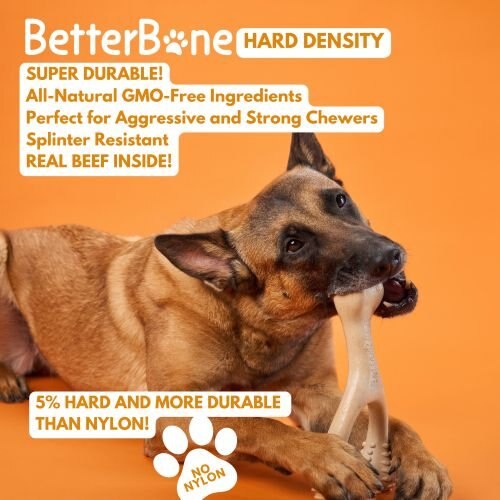 BETTERBONE Hard Beef Dog Toy, Natural, Large - Chewy.com