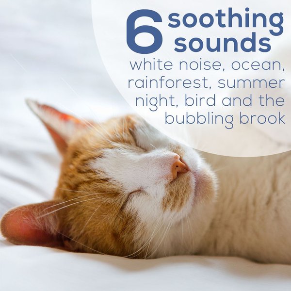 Out of Stock - BEURER Premium White Noise Machine Cat & Dog Calming ...