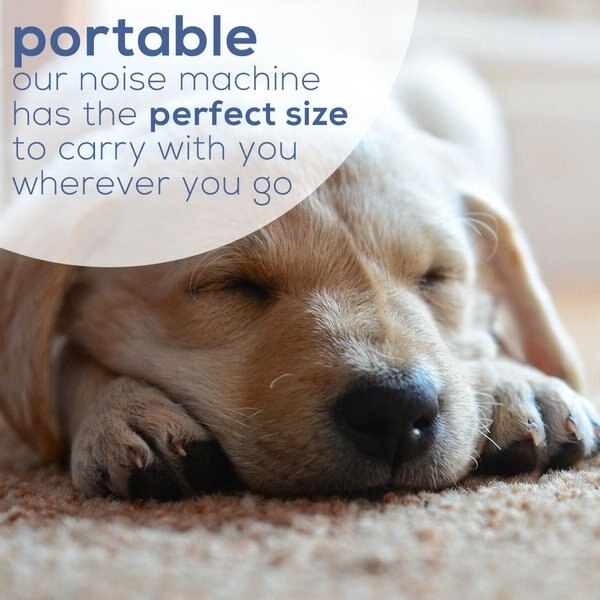 Out of Stock - BEURER Premium White Noise Machine Cat & Dog Calming ...