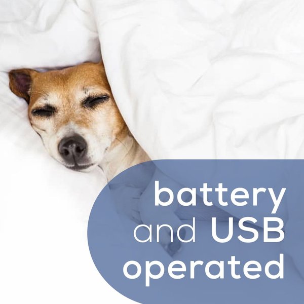 Out of Stock - BEURER Premium White Noise Machine Cat & Dog Calming ...