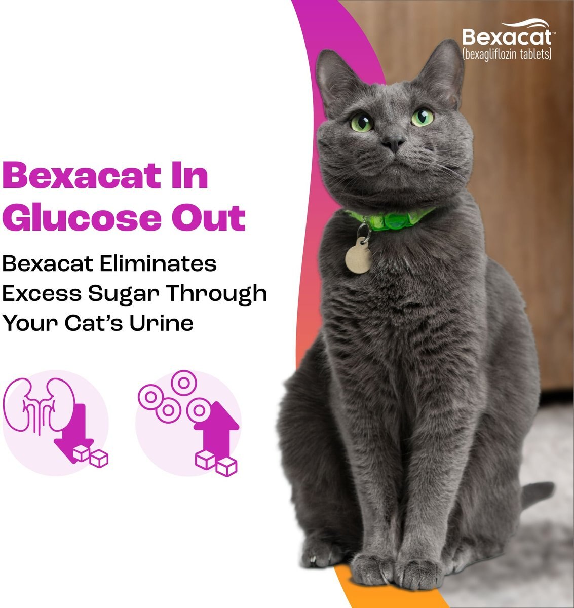 BEXACAT Flavored Tablets for Cats, 15mg - Easy Refills | Chewy Rx