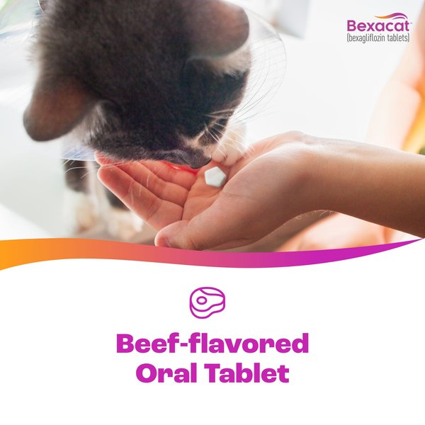 BEXACAT Flavored Tablets for Cats, 15mg - Easy Refills | Chewy Rx