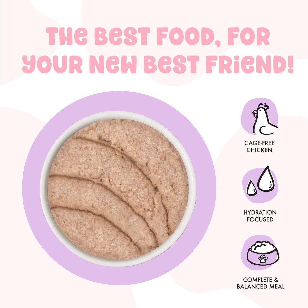 BFF Kitten Cute to Boo Wet Cat Food, 2.8-oz can, case of 12 - Chewy.com