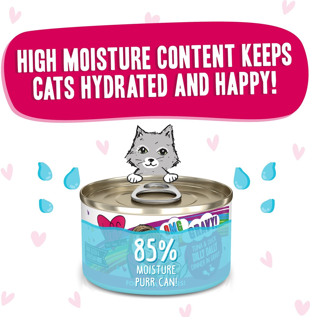 BFF OMG Dilly Dally! Tuna & Duck Flavor Wet Canned Cat Food, 2.8-oz can ...