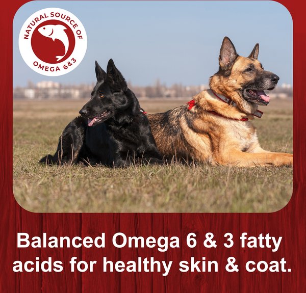 BIG RED High Protein Dog Food, 50-lb bag - Chewy.com