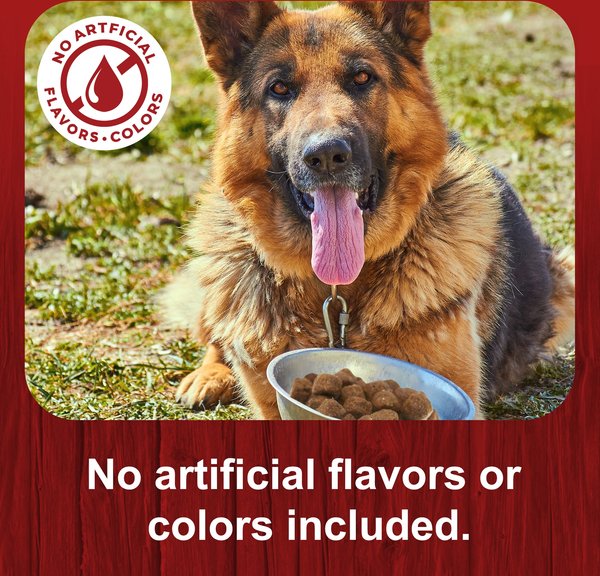 BIG RED High Protein Dog Food, 50-lb bag - Chewy.com