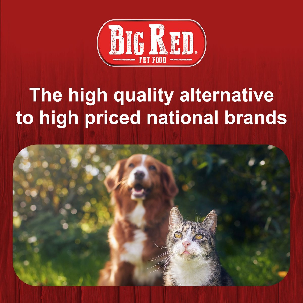 BIG RED Nuggets Dry Dog Food, 50-lb bag - Chewy.com