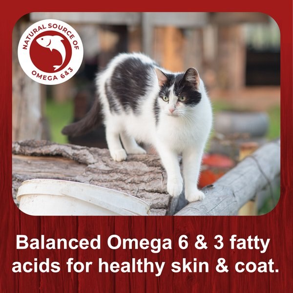 BIG RED Tasty Morsels Natural Chicken Flavor Dry Cat Food, 20-lb bag ...