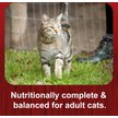BIG RED Tasty Morsels Natural Chicken Flavor Dry Cat Food, 40-lb bag ...