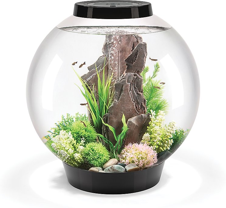 PLASTIC FISH TANKS & AQUARIUMS (Free Shipping) | Chewy