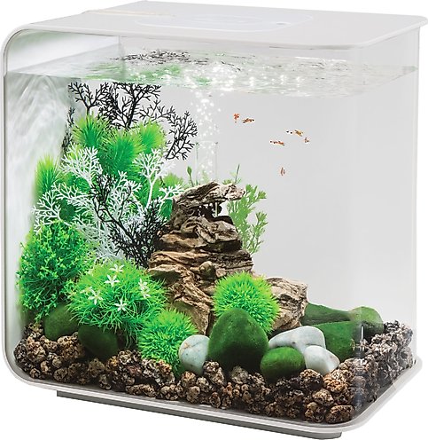 PLASTIC FISH TANKS & AQUARIUMS (Free Shipping) | Chewy