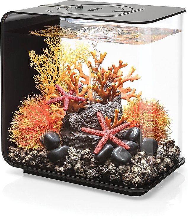 PLASTIC FISH TANKS & AQUARIUMS (Free Shipping) | Chewy