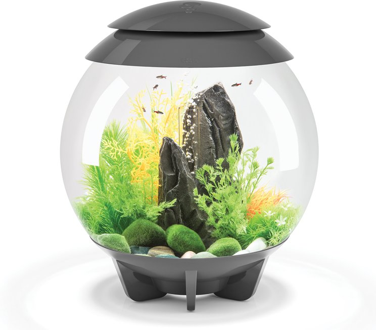 PLASTIC FISH TANKS & AQUARIUMS (Free Shipping) | Chewy