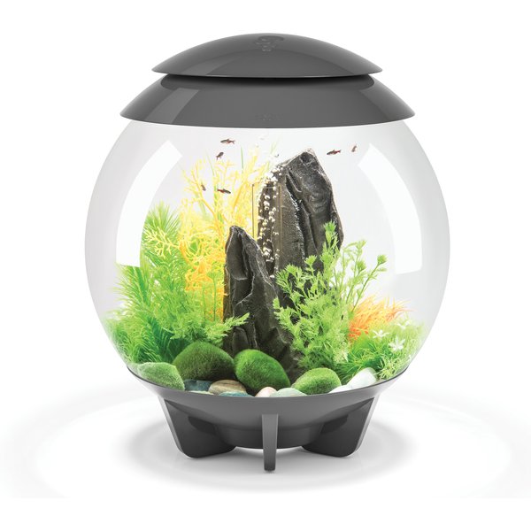 BIORB Classic LED Fish Aquarium, Silver, 8-gal - Chewy.com