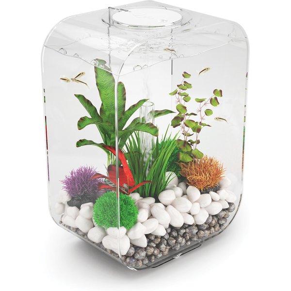 AQUASPROUTS Fountain Aquaponics Ecosystem Kit, Taupe, 6-gal - Chewy.com