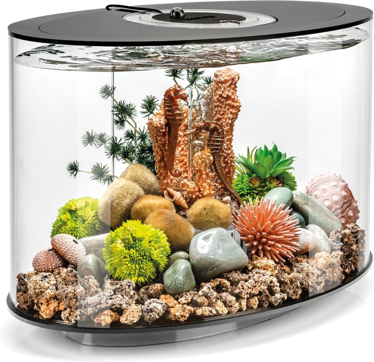 5 Gallon Fish Tank (Free Shipping) | Chewy