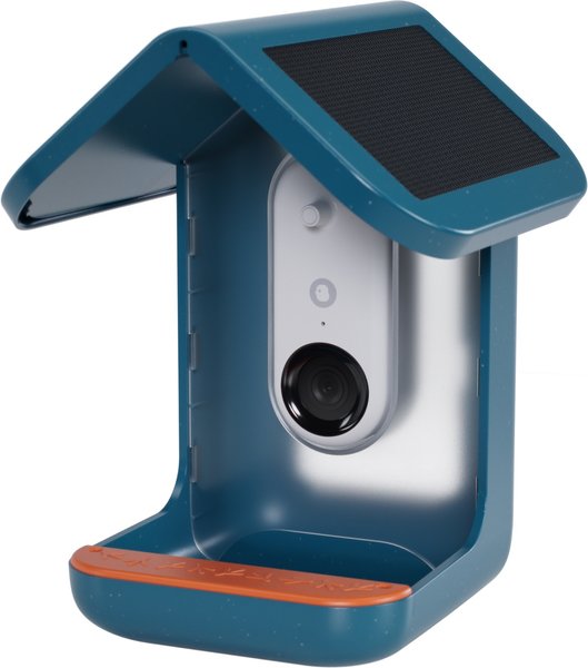 BIRD BUDDY PRO Solar Smart Bird Feeder, Blue - Chewy.com