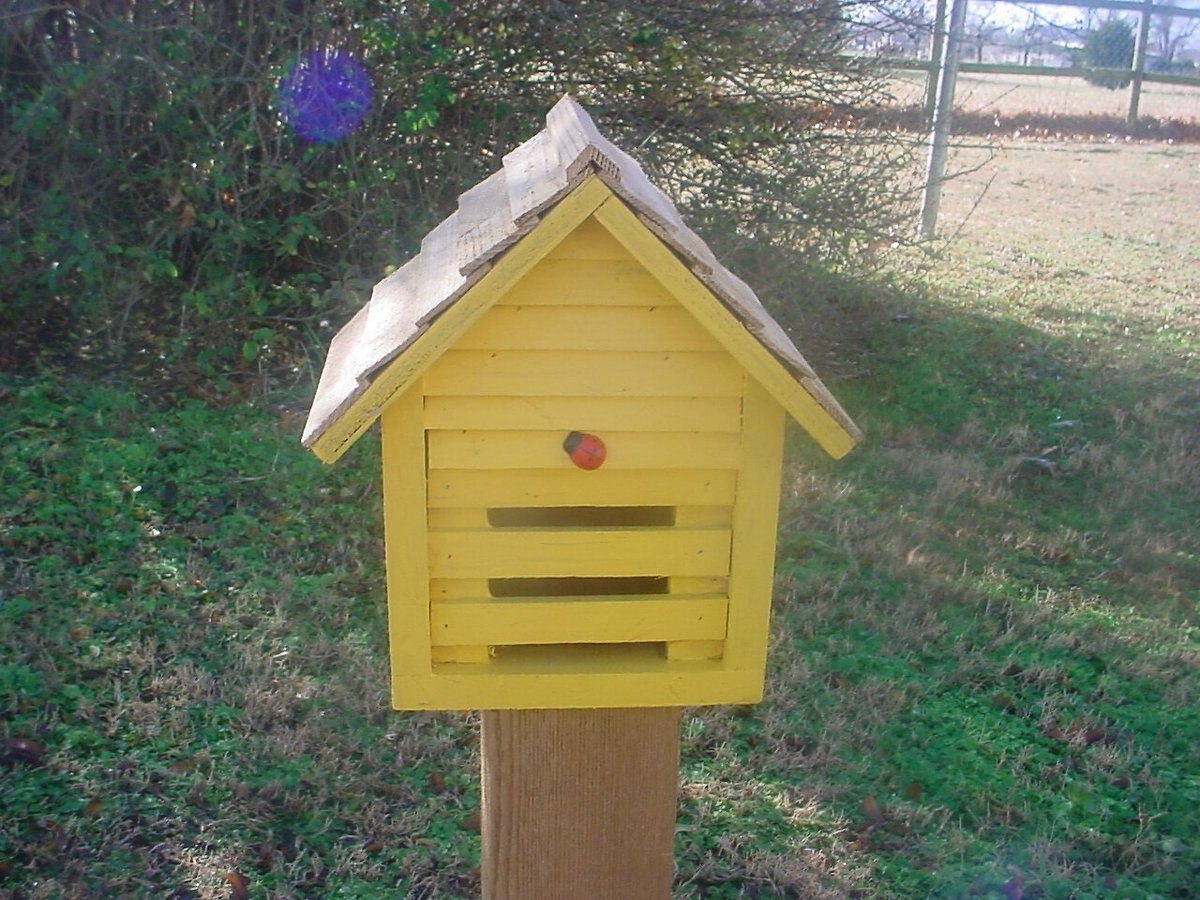 BIRD HOUSES BY MARK Homestead Ladybug Bird House, Yellow - Chewy.com