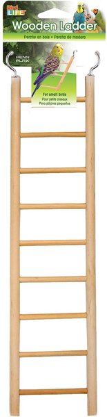 BIRD LIFE 9 Step Wooden Bird Ladder, 3.75 x 15.25-in - Chewy.com