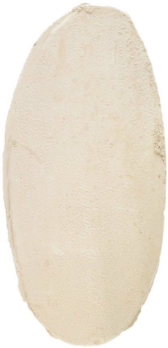 BIRD LIFE Earth-Friendly Natural Bird Cuttlebone, 6-pack - Chewy.com