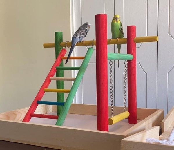 BIRD LIFE Penn-Plax Wooden Bird Playpen, XX-Large - Chewy.com