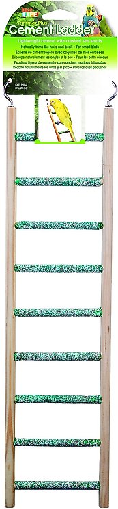 Bird Ladders & Swings | Chewy