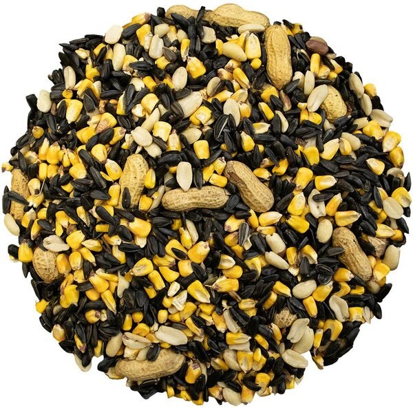 BIRD PRO Critter Blend Classic Bird Food, 10-lb bag - Chewy.com