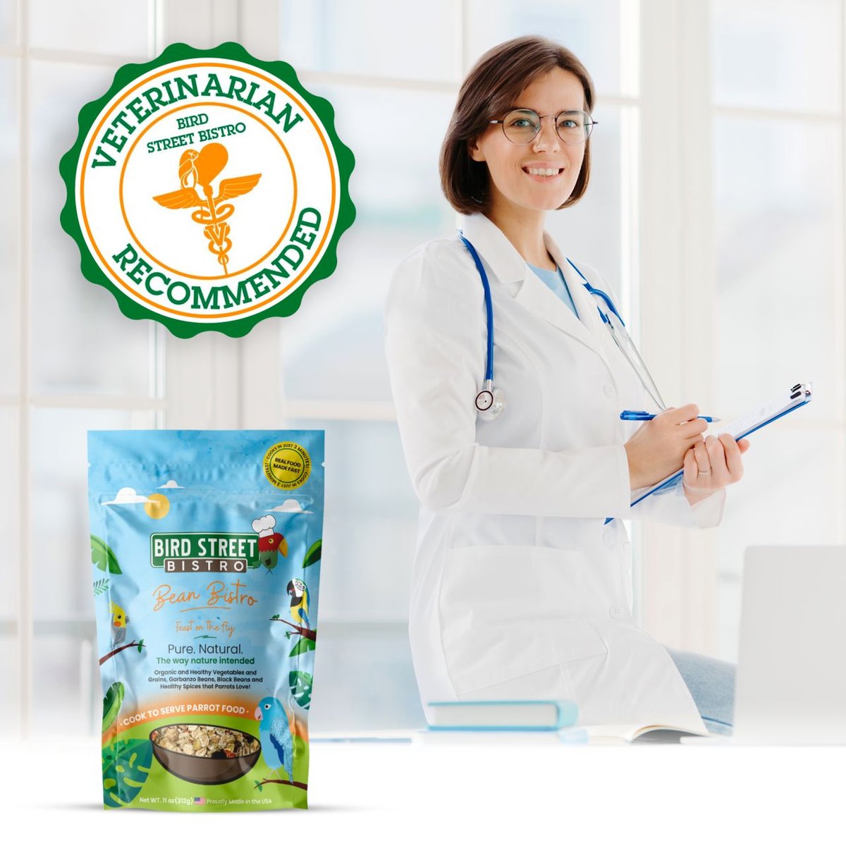 Out of Stock - BIRD STREET BISTRO Bean Feast on the Fly Bird Food, 11 ...