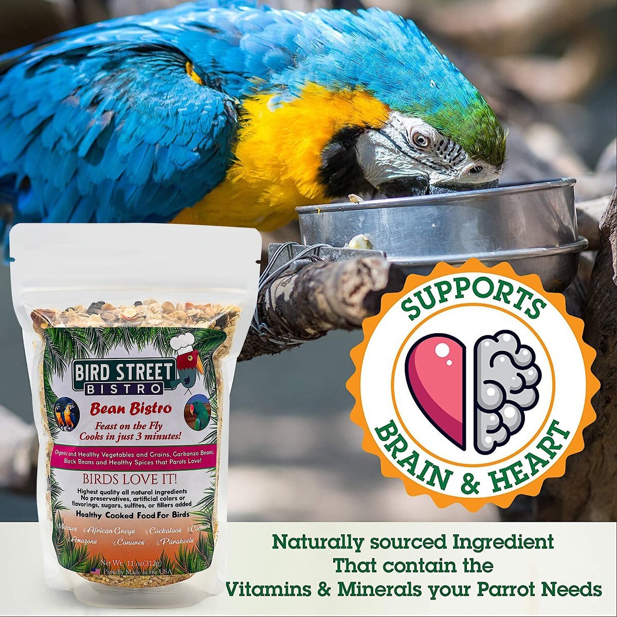 BIRD STREET BISTRO Bean Feast on the Fly Bird Food, 18-oz bag - Chewy.com