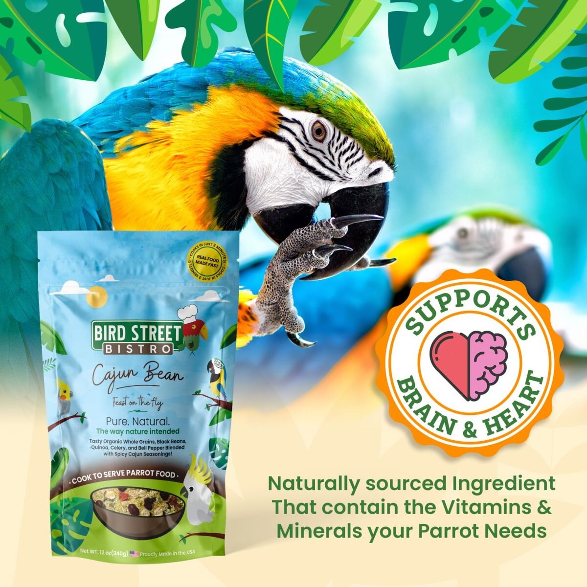 BIRD STREET BISTRO Cajun Bean Feast on the Fly Bird Food, 12-oz, case ...