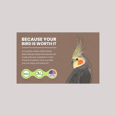 BIRD STREET BISTRO Cockatiel Cook To Serve Bird Food Sample Pack, 11-oz ...