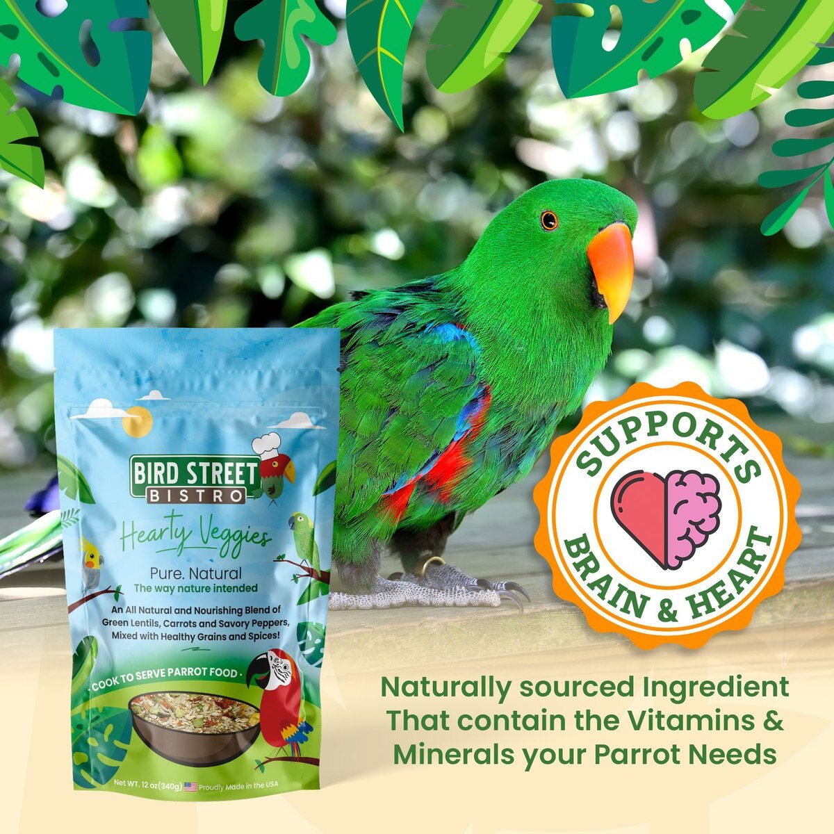 BIRD STREET BISTRO Hearty Veggies Bird Food, 12-oz bag - Chewy.com