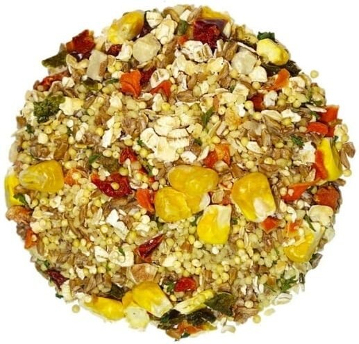 BIRD STREET BISTRO Southern Feast Bird Food, 12-oz bag - Chewy.com