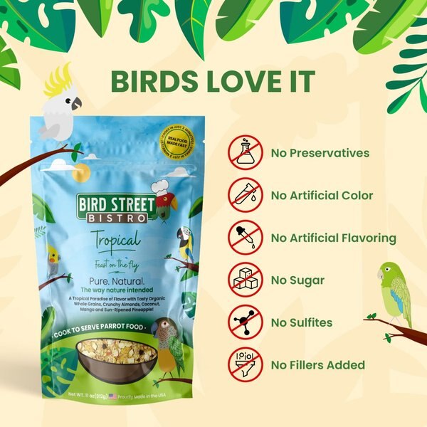 BIRD STREET BISTRO Tropical Feast on the Fly Bird Food, 12-oz, case of ...