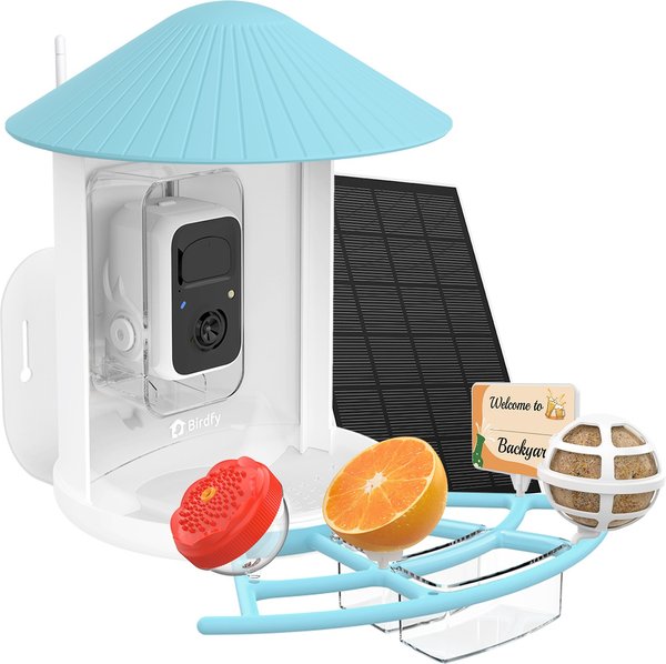 BIRDFY Netvue Pro Perch Extension with Suet Ball, Mini Hummingbird ...