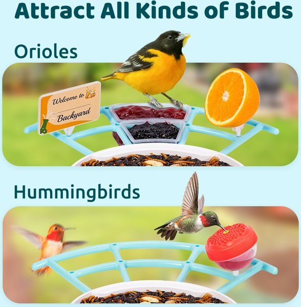 BIRDFY Netvue Pro Perch Extension with Suet Ball, Mini Hummingbird ...