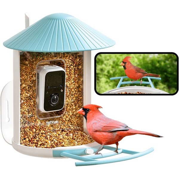BIRD BUDDY PRO Solar Smart Bird Feeder, Blue - Chewy.com