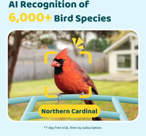 BIRDFY Smart Bird Feeder Camera Solar Panel & AI Lifetime Free, Blue, 1 ...