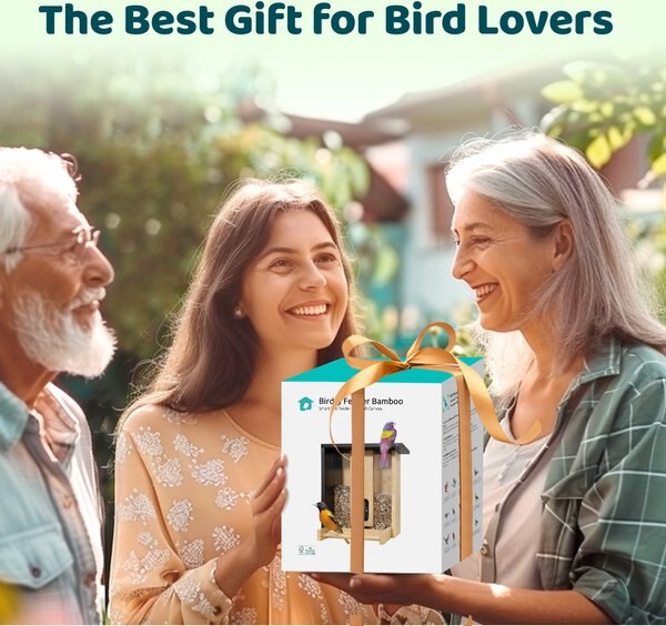 BIRDFY Solar Powered Bamboo Smart Bird Feeder with Motion Detection ...