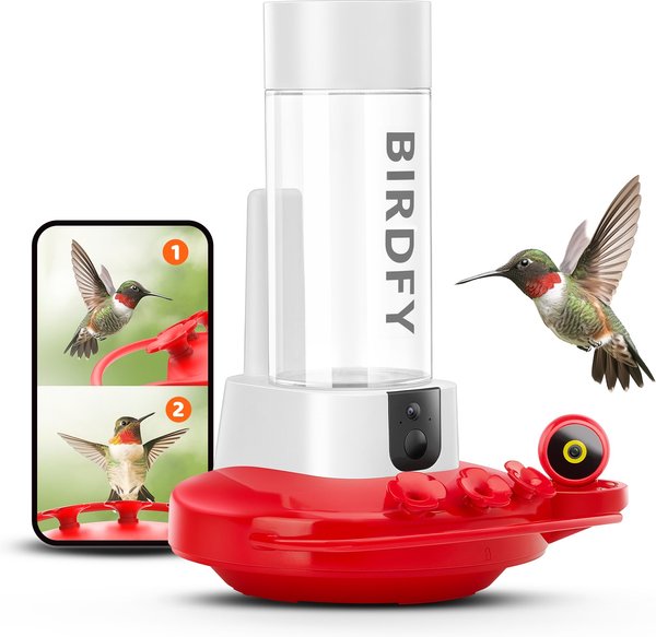 BIRDFY Solar Powered Hummingbird Feeder AI Lifetime Free with 2K Dual ...