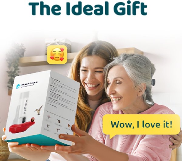 BIRDFY Solar Powered Hummingbird Feeder AI Lifetime Free with 2K Dual ...