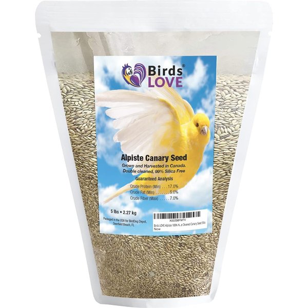 LAFEBER Premium Daily Diet Canary Bird Food, 5-lb bucket - Chewy.com