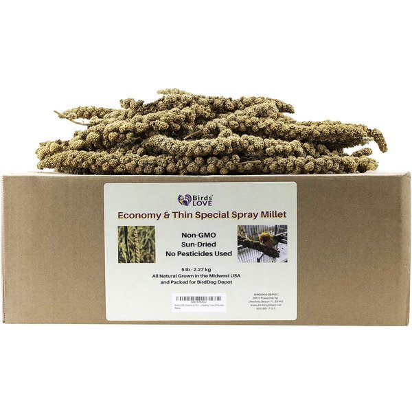 KAYTEE Gold Spray Millet Bird Treats, 5-lb box - Chewy.com