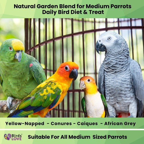 BIRDS LOVE Natural Garden Blend Sunflower-Free Conure Bird Food, 2-lb ...