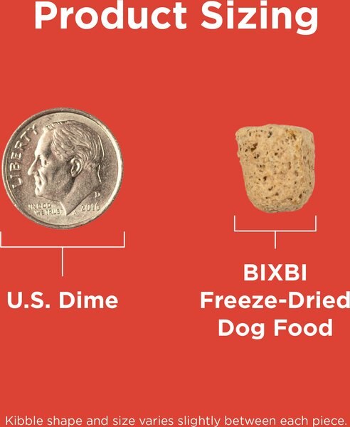 BIXBI Rawbble Beef Recipe Grain-Free Freeze-Dried Dog Food, 4.5-oz bag ...