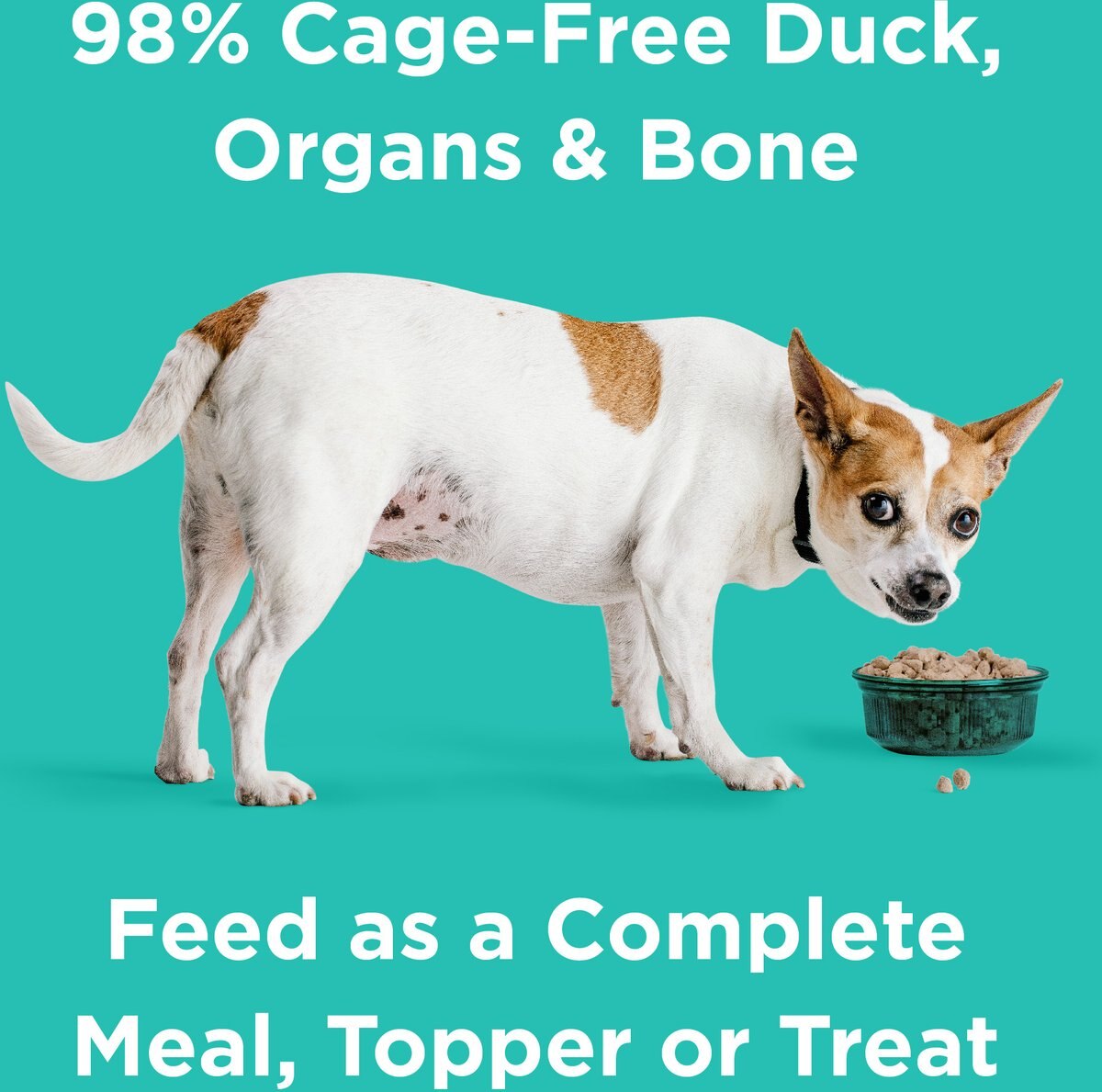 BIXBI Rawbble Duck Recipe Grain-Free Freeze-Dried Dog Food, 4.5-oz bag ...