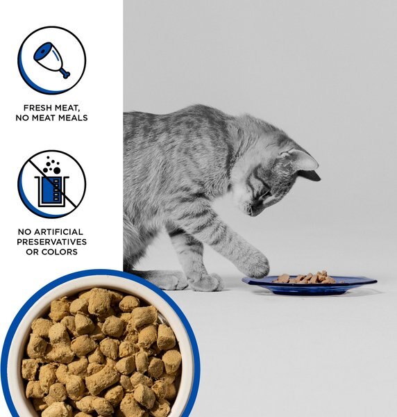 BIXBI RAWBBLE Turkey Recipe Grain-Free Freeze-Dried Cat Food, 10-oz bag ...