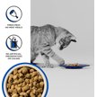 BIXBI RAWBBLE Turkey Recipe Grain-Free Freeze-Dried Cat Food, 10-oz bag ...