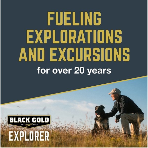 BLACK GOLD Explorer Large Breed Adult Recipe Dry Dog Food, 40-lb bag ...