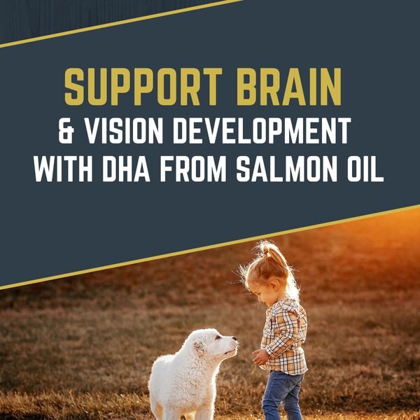 BLACK GOLD Explorer Large Breed Puppy Recipe Dry Dog Food, 40-lb bag ...